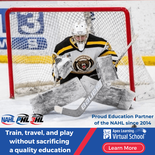 Hockey Advisors: How To Be Your Own Advisor On Your Own Time