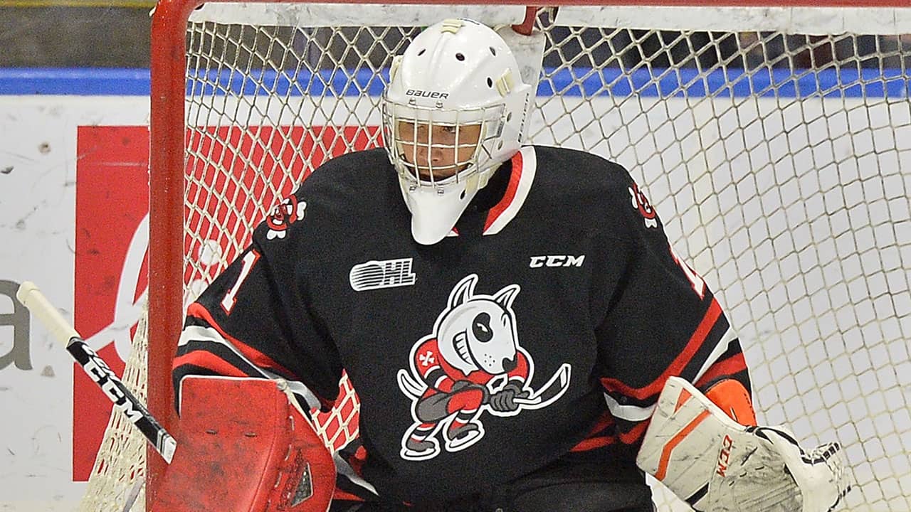 OHL Goalie Tucker Tynan Accused Of Bookmaking And Betting His Own Games ...